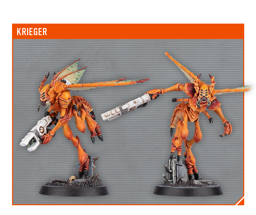 Die Warhammer-Preview-Show: Operation Makropolsturm – Stoße mit diesem ...