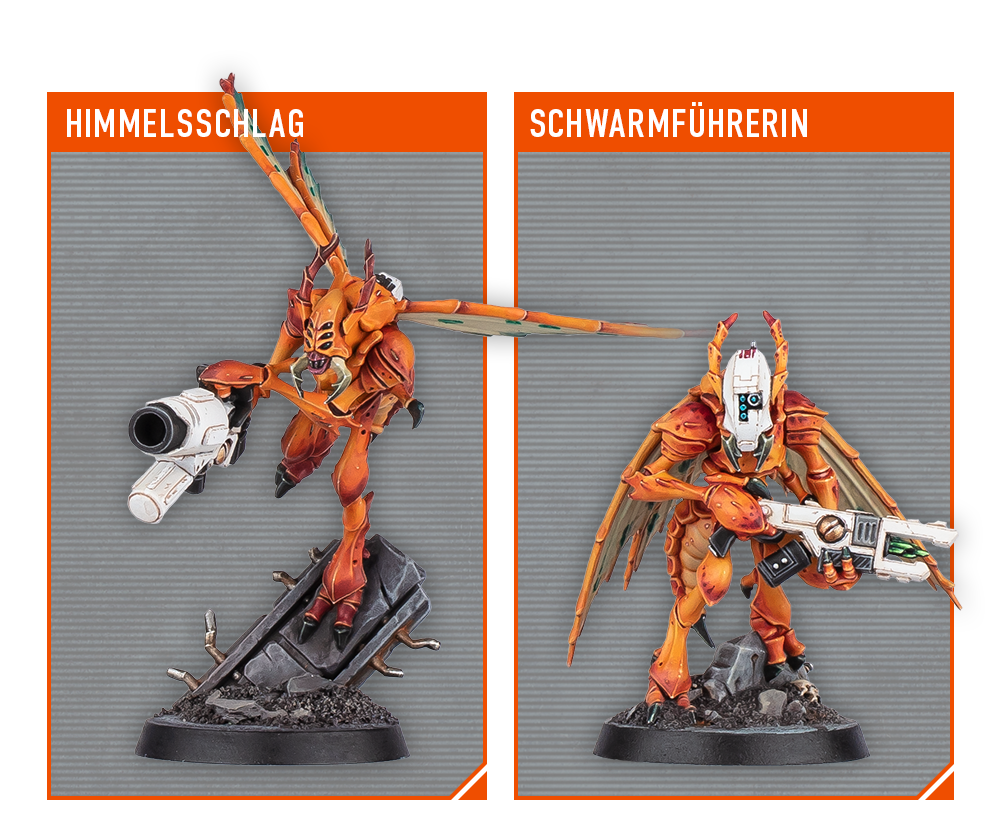 Die Warhammer-Preview-Show: Operation Makropolsturm – Stoße mit diesem ...